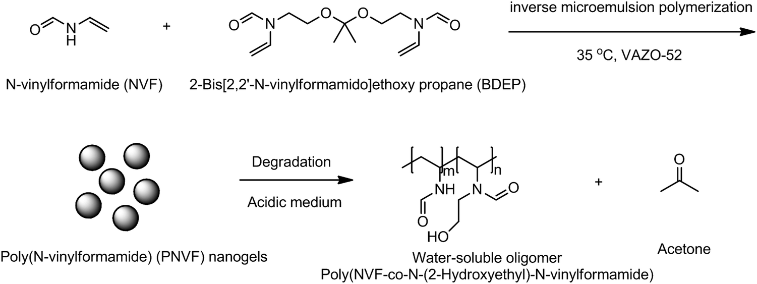 Micro- and nanogels with labile crosslinks – from synthesis to ...