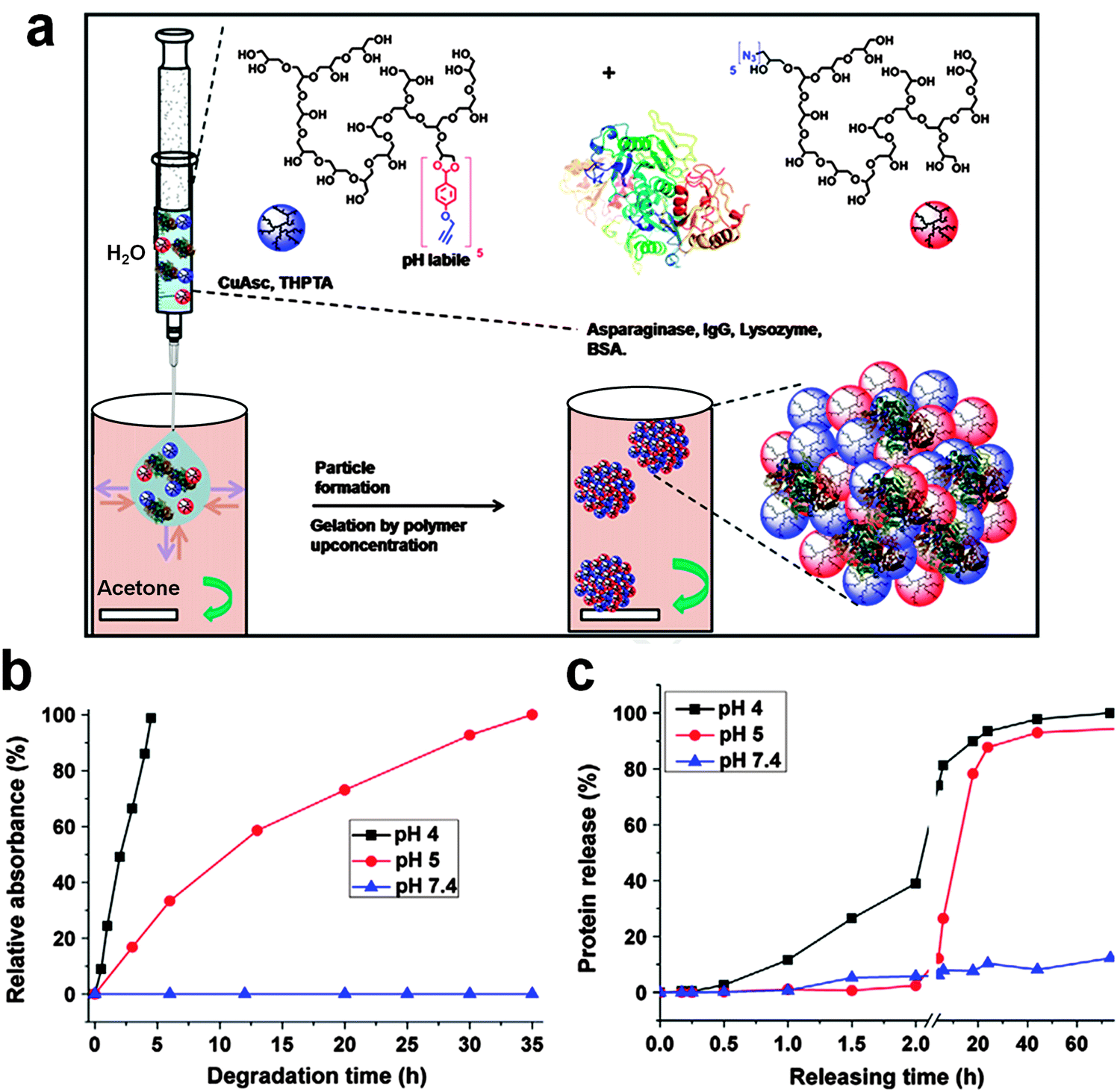 Micro- and nanogels with labile crosslinks – from synthesis to ...