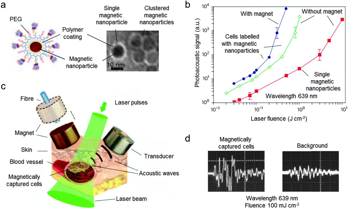 Images Magnetic Nanoparticles at Kathleen Perry blog