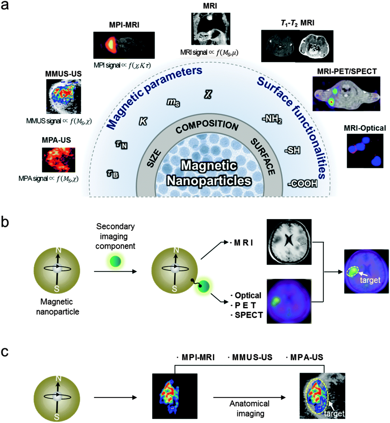 Recent advances in magnetic nanoparticle-based multi-modal imaging ...