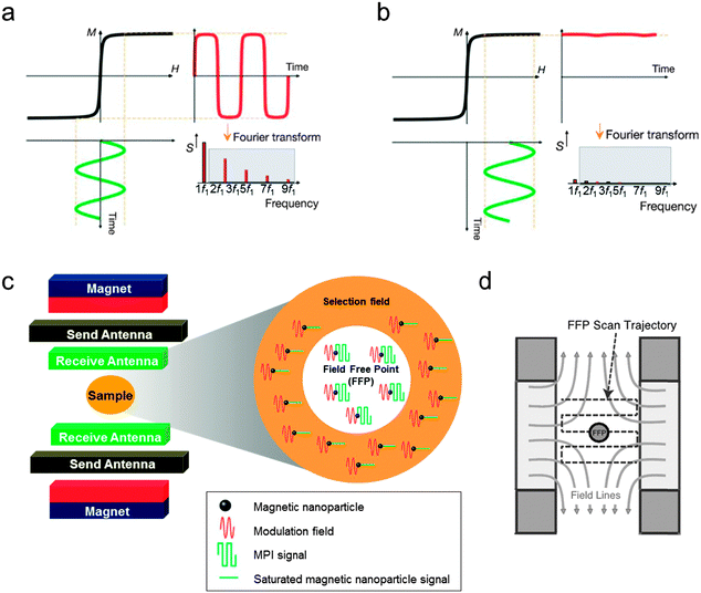 Recent advances in magnetic nanoparticle-based multi-modal imaging ...