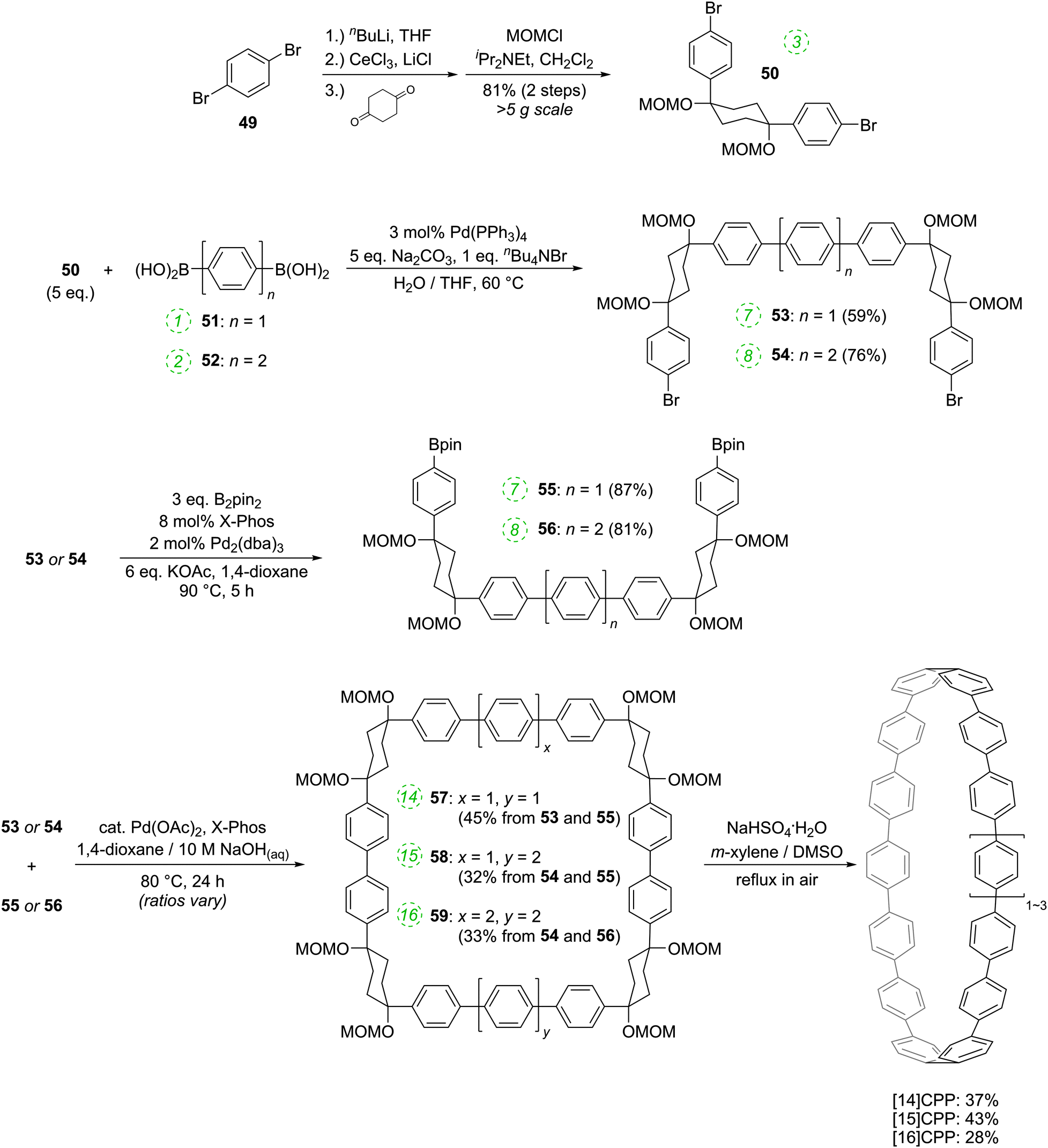 Cycloparaphenylenes and related nanohoops - Chemical Society Reviews ...