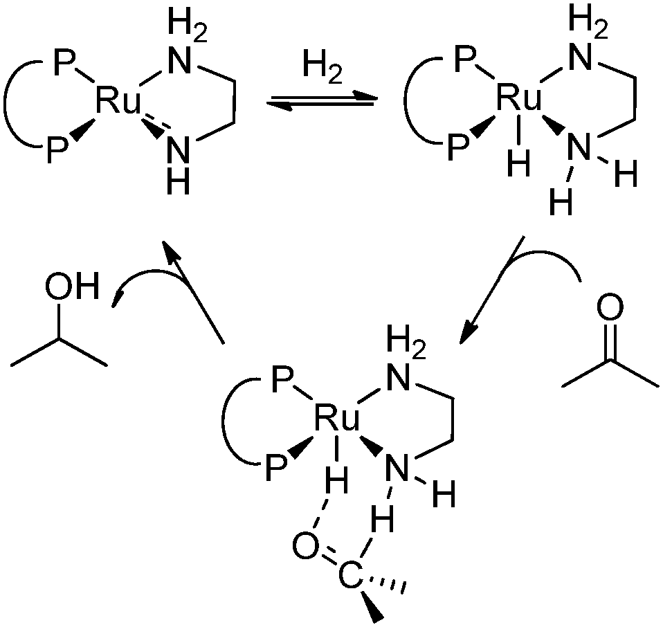 Heterogeneous and homogeneous catalysis for the hydrogenation of ...