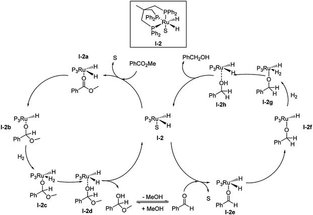 Heterogeneous and homogeneous catalysis for the hydrogenation of ...