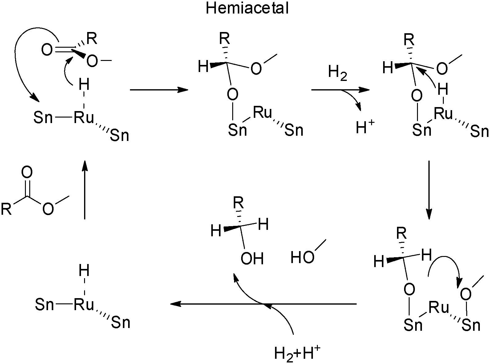 Heterogeneous and homogeneous catalysis for the hydrogenation of ...