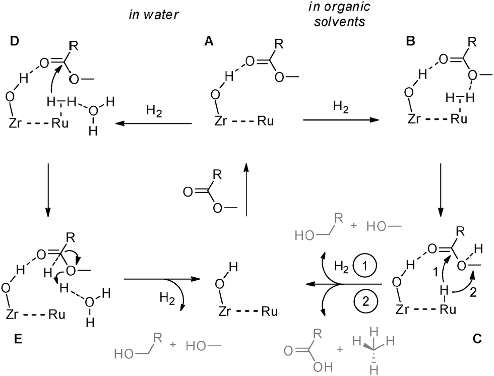 Heterogeneous and homogeneous catalysis for the hydrogenation of ...