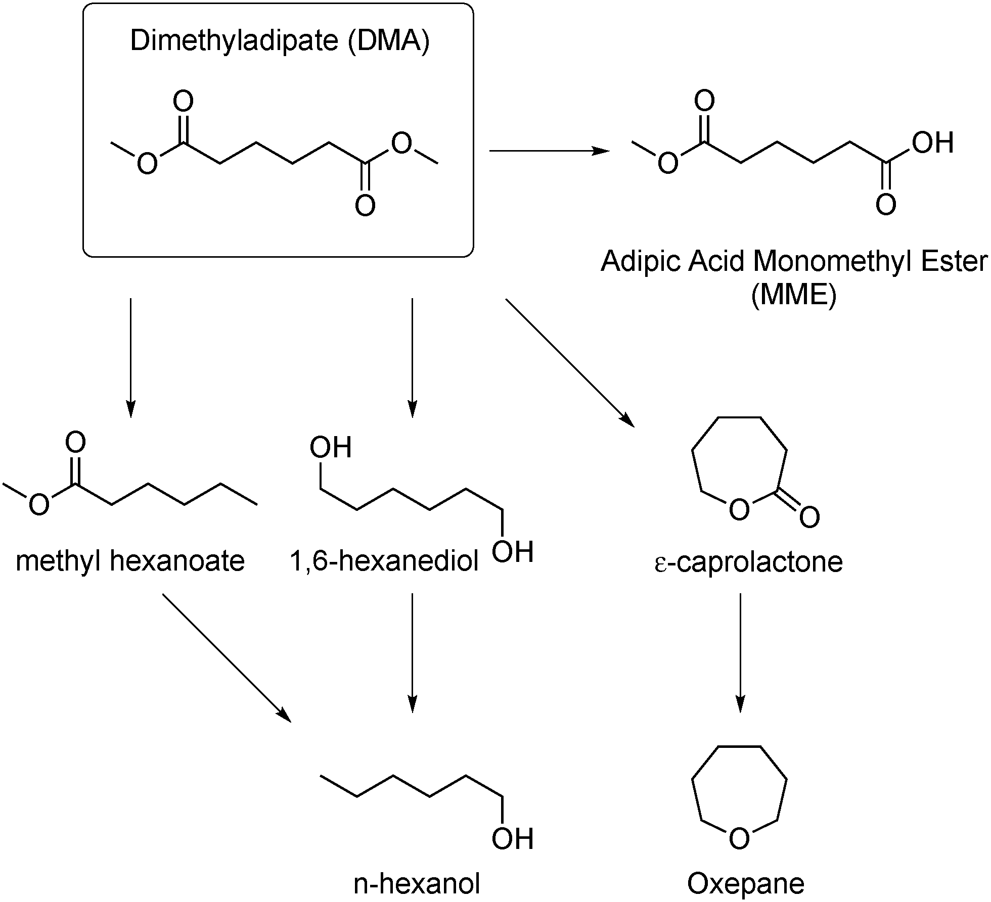Heterogeneous and homogeneous catalysis for the hydrogenation of ...