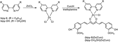 Metal complexes of curcumin – synthetic strategies, structures and ...