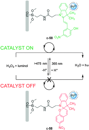 Artificial switchable catalysts - Chemical Society Reviews (RSC ...