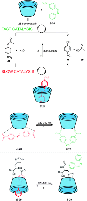 Artificial switchable catalysts - Chemical Society Reviews (RSC ...