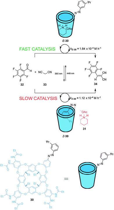 Artificial switchable catalysts - Chemical Society Reviews (RSC ...