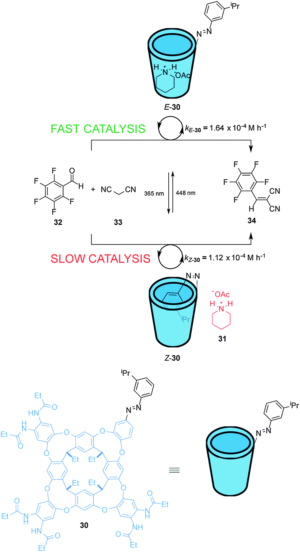 Artificial switchable catalysts - Chemical Society Reviews (RSC ...