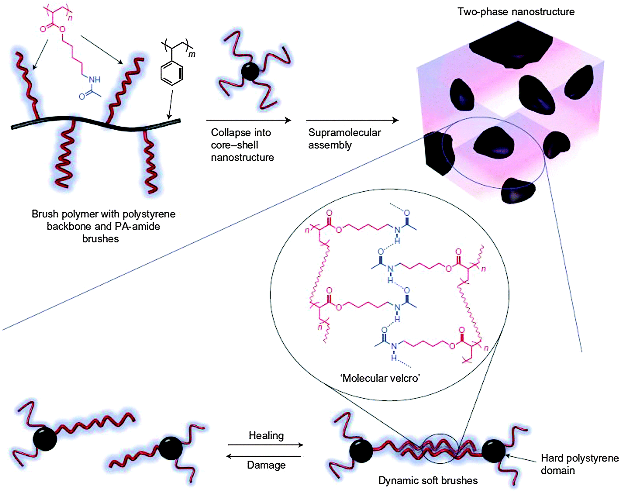 DYNAMERS: dynamic polymers as self-healing materials - Chemical Society ...