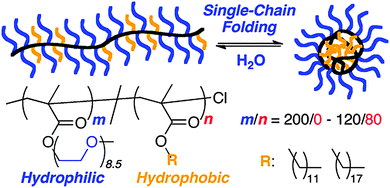 Advances in single chain technology - Chemical Society Reviews (RSC ...