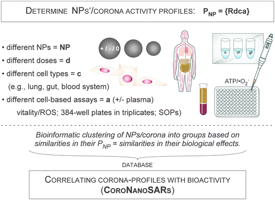 The nanoparticle biomolecule corona: lessons learned – challenge ...