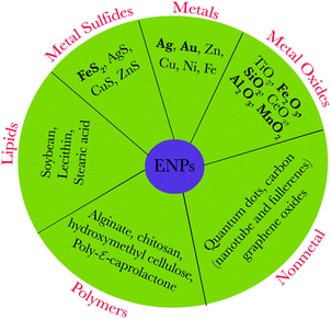 Natural inorganic nanoparticles – formation, fate, and toxicity in the ...