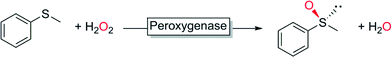 Specific oxyfunctionalisations catalysed by peroxygenases ...