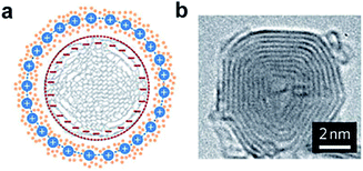 Supercapacitor electrode materials: nanostructures from 0 to 3 ...