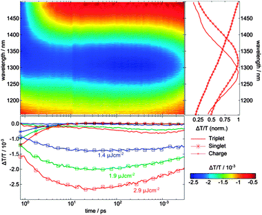 Sub-ns triplet state formation by non-geminate recombination in PSBTBT ...