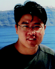 Polyoxometalate-functionalized nanocarbon materials for energy ...