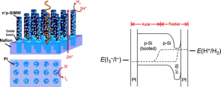 Unassisted solar-driven photoelectrosynthetic HI splitting using ...
