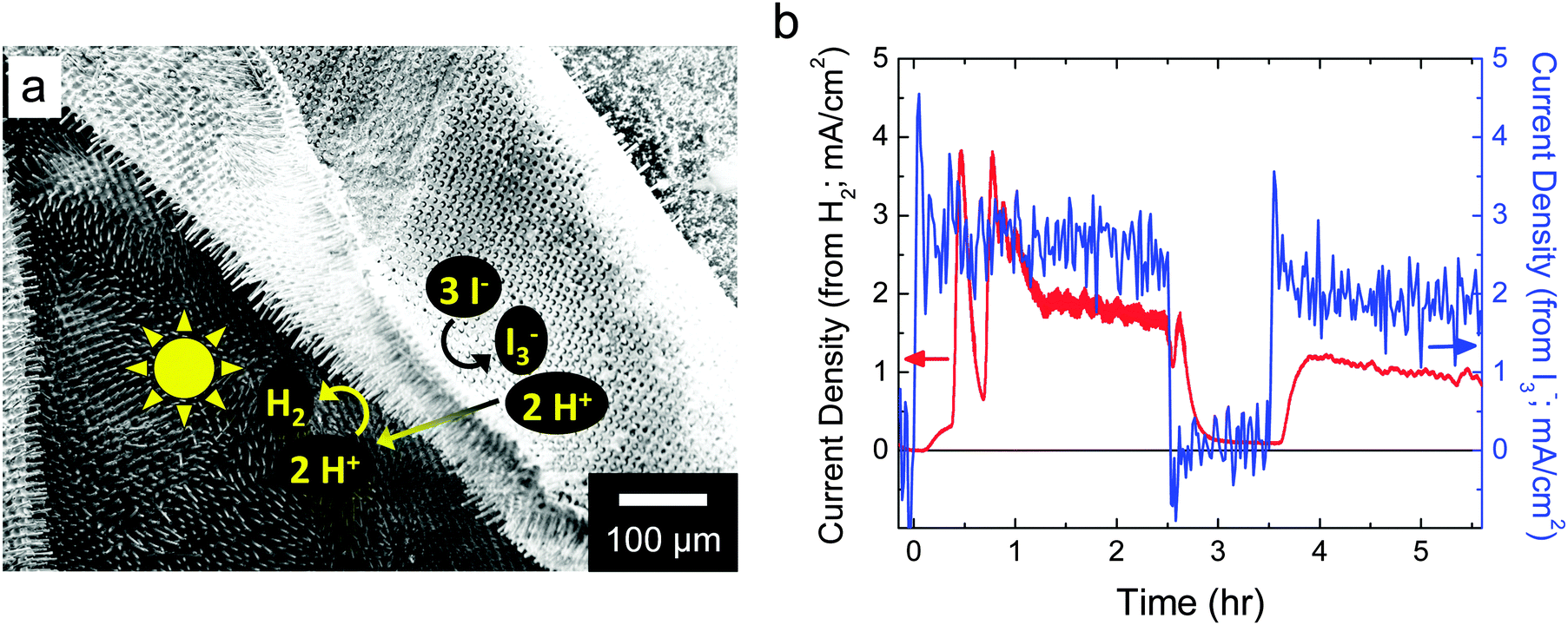 Unassisted solar-driven photoelectrosynthetic HI splitting using ...