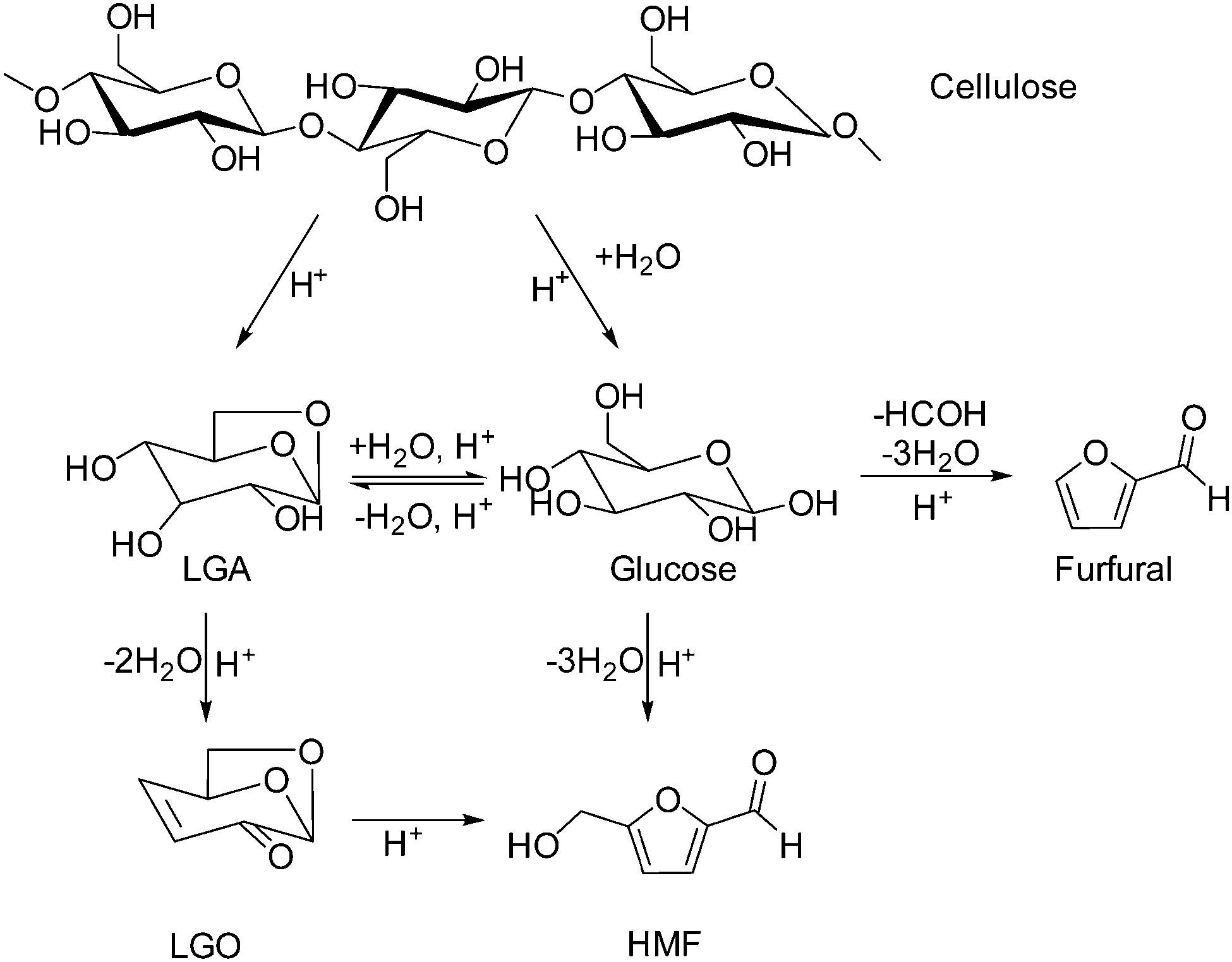 Dehydration of cellulose to levoglucosenone using polar aprotic ...