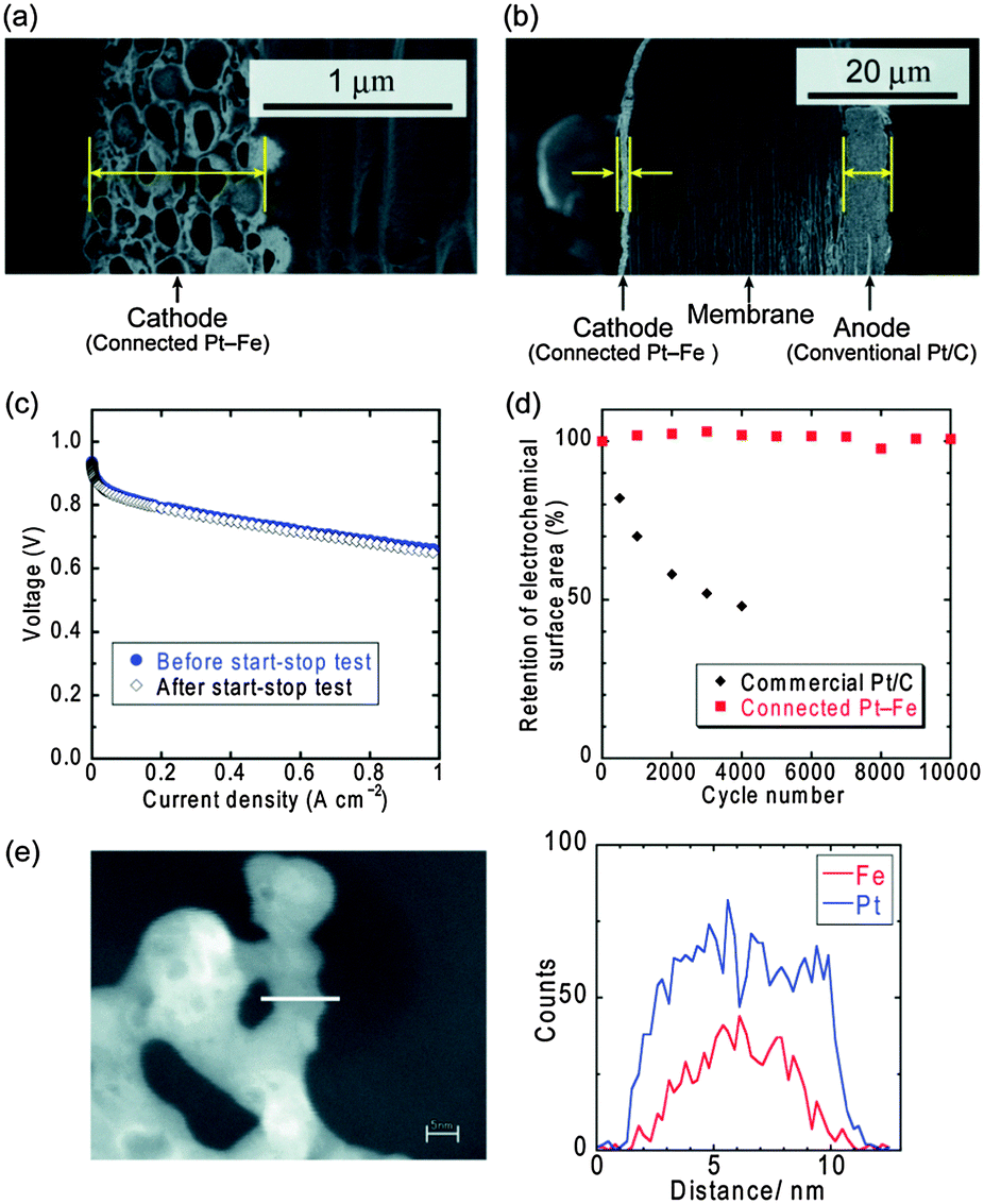 Connected nanoparticle catalysts possessing a porous, hollow capsule ...