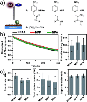 Intramolecular photostabilization via triplet-state quenching: design ...