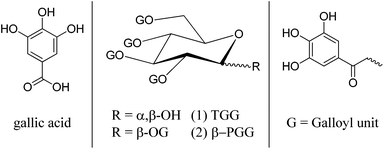 Chemical modification of tannins to elaborate aromatic biobased ...