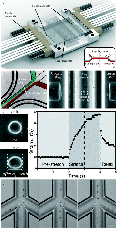 A monolithic glass chip for active single-cell sorting based on ...
