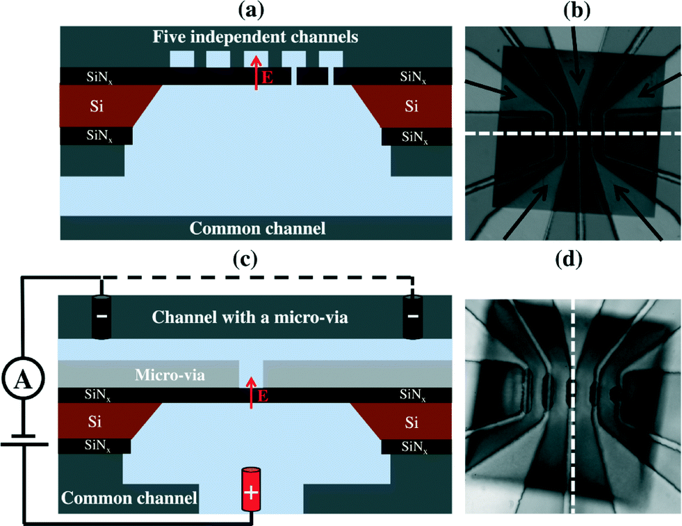 Integrating nanopore sensors within microfluidic channel arrays using ...