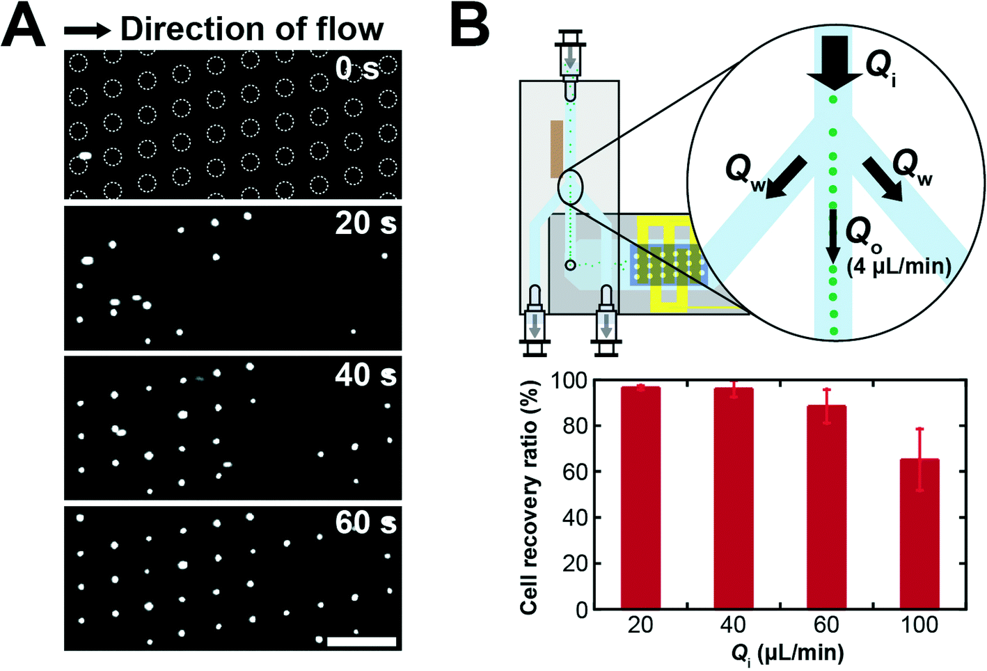 Highly efficient single cell arraying by integrating acoustophoretic cell pre-concentration and ...