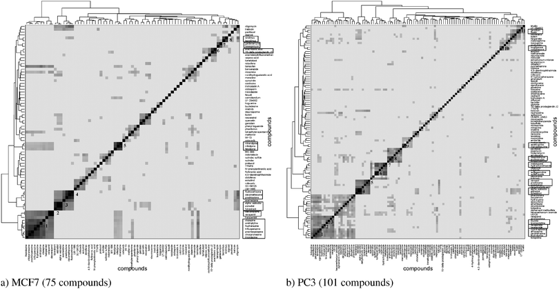 Connecting gene expression data from connectivity map and in silico ...