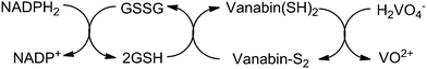 The role of vanadium in biology - Metallomics (RSC Publishing) DOI:10. ...