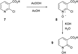 Protection from neurodegeneration in the 6-hydroxydopamine (6-OHDA ...