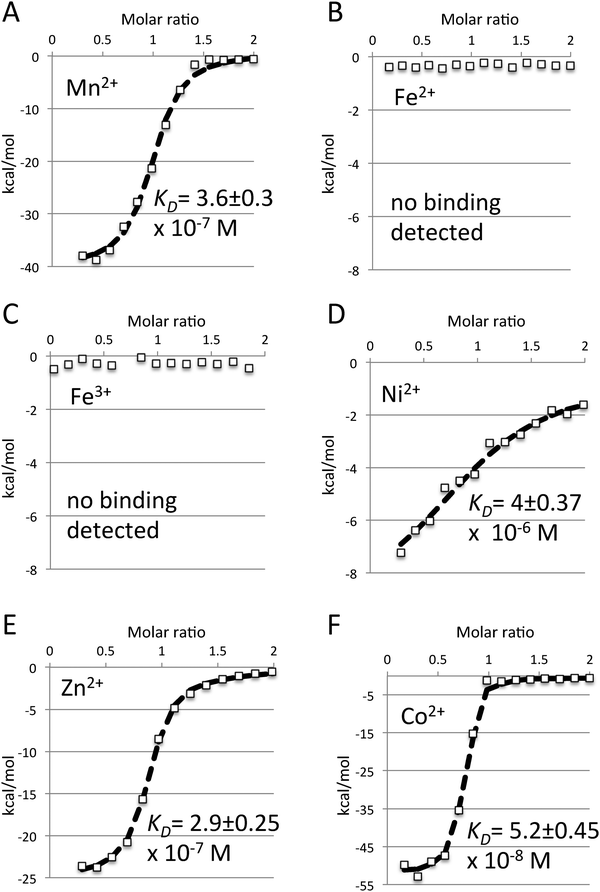 Metal binding spectrum and model structure of the Bacillus anthracis ...