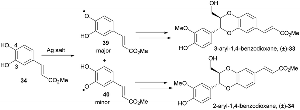 Synthesis and biology of 1,4-benzodioxane lignan natural products ...