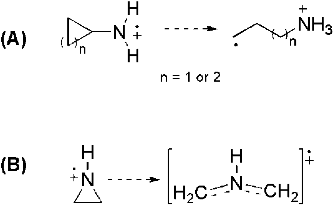 The stability of nitrogen-centered radicals - Organic & Biomolecular ...
