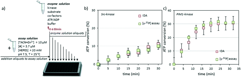 Label-free fluorescence detection of kinase activity using a gold ...