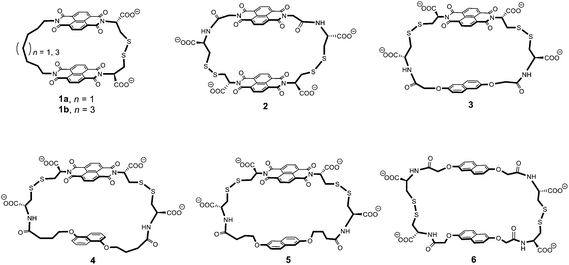 Molecular motion of donor–acceptor catenanes in water - Organic ...