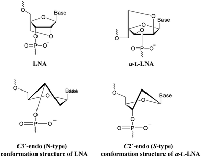Thermal stability of G-rich anti-parallel DNA triplexes upon insertion ...