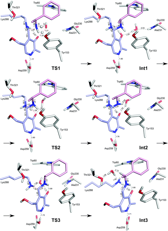 A quantum chemical study of the ω-transaminase reaction mechanism ...