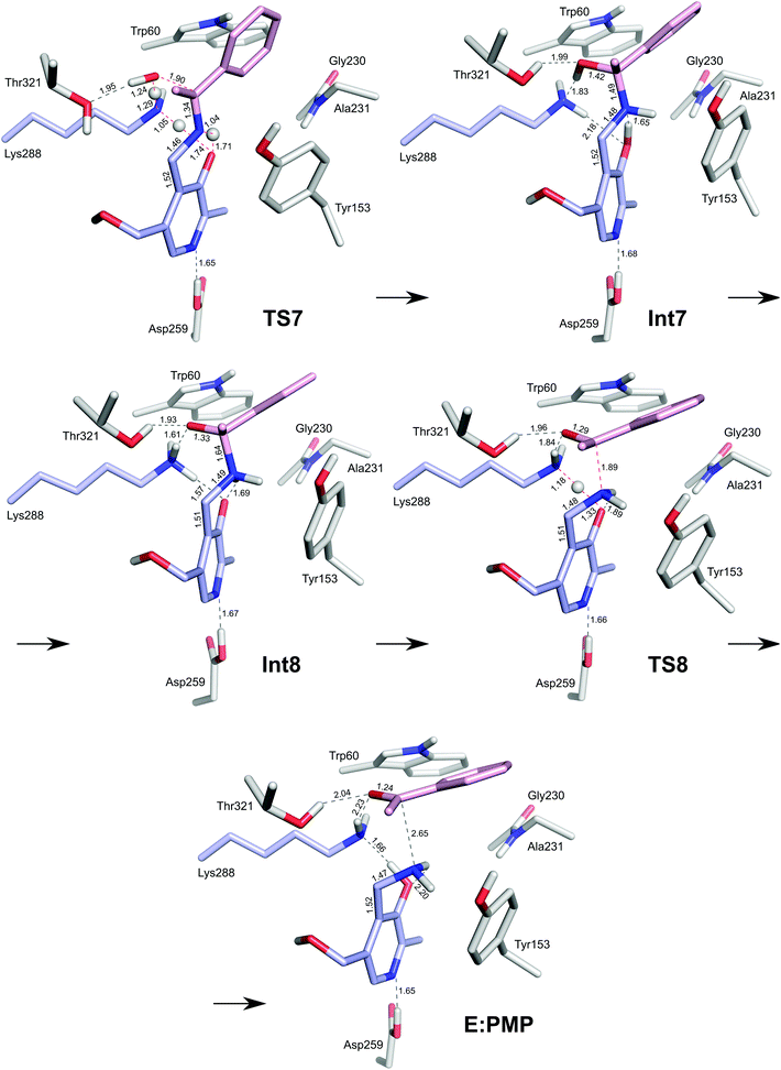 A quantum chemical study of the ω-transaminase reaction mechanism ...