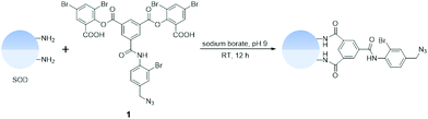 Bioorthogonal phase-directed copper-catalyzed azide–alkyne ...