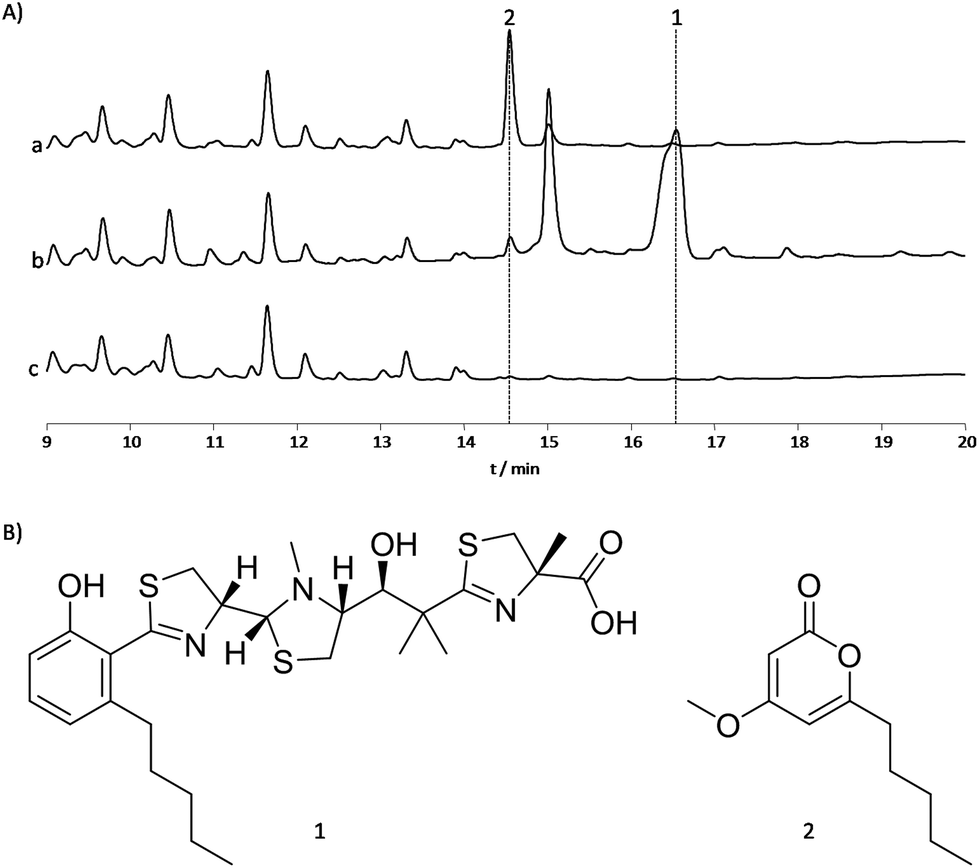 Chemical chain termination resolves the timing of ketoreduction in a partially reducing ...
