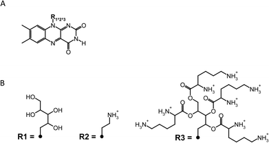 Fast and effective inactivation of Bacillus atrophaeus endospores using ...