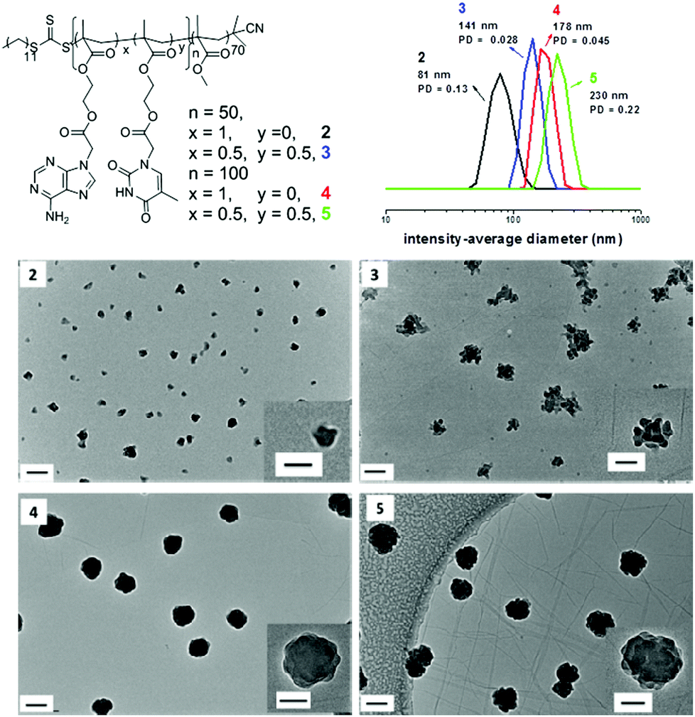 Exploiting nucleobase-containing materials – from monomers to complex ...