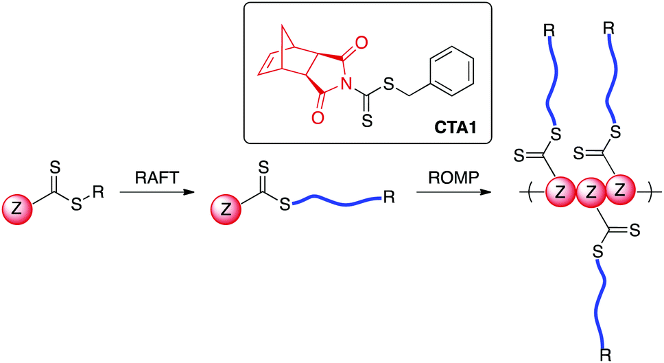 Synthesis of bottlebrush polymers via transfer-to and grafting-through ...