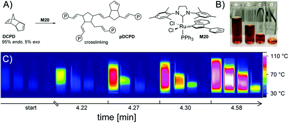 Thermal effects in polymerisations – a live view differentiating ...